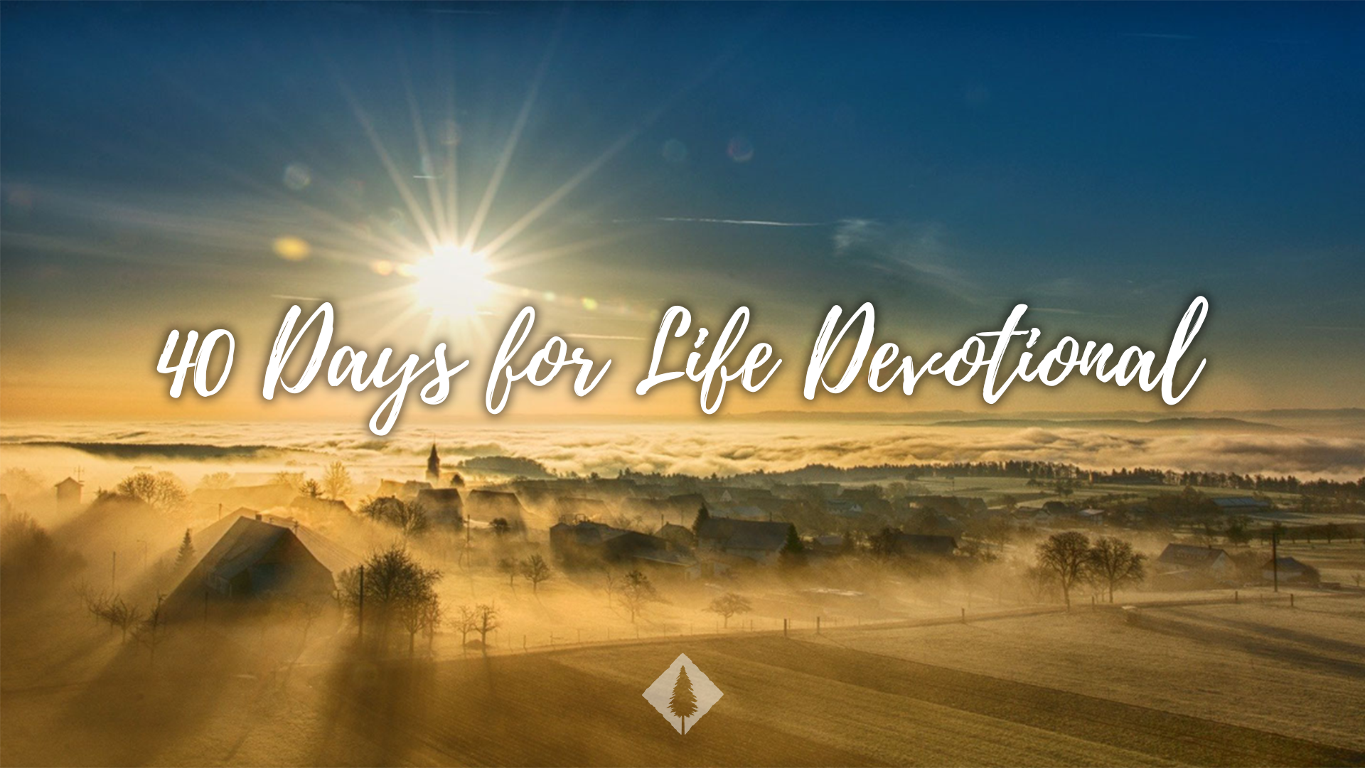 DAY 4: The Miracle Of Life | CBC