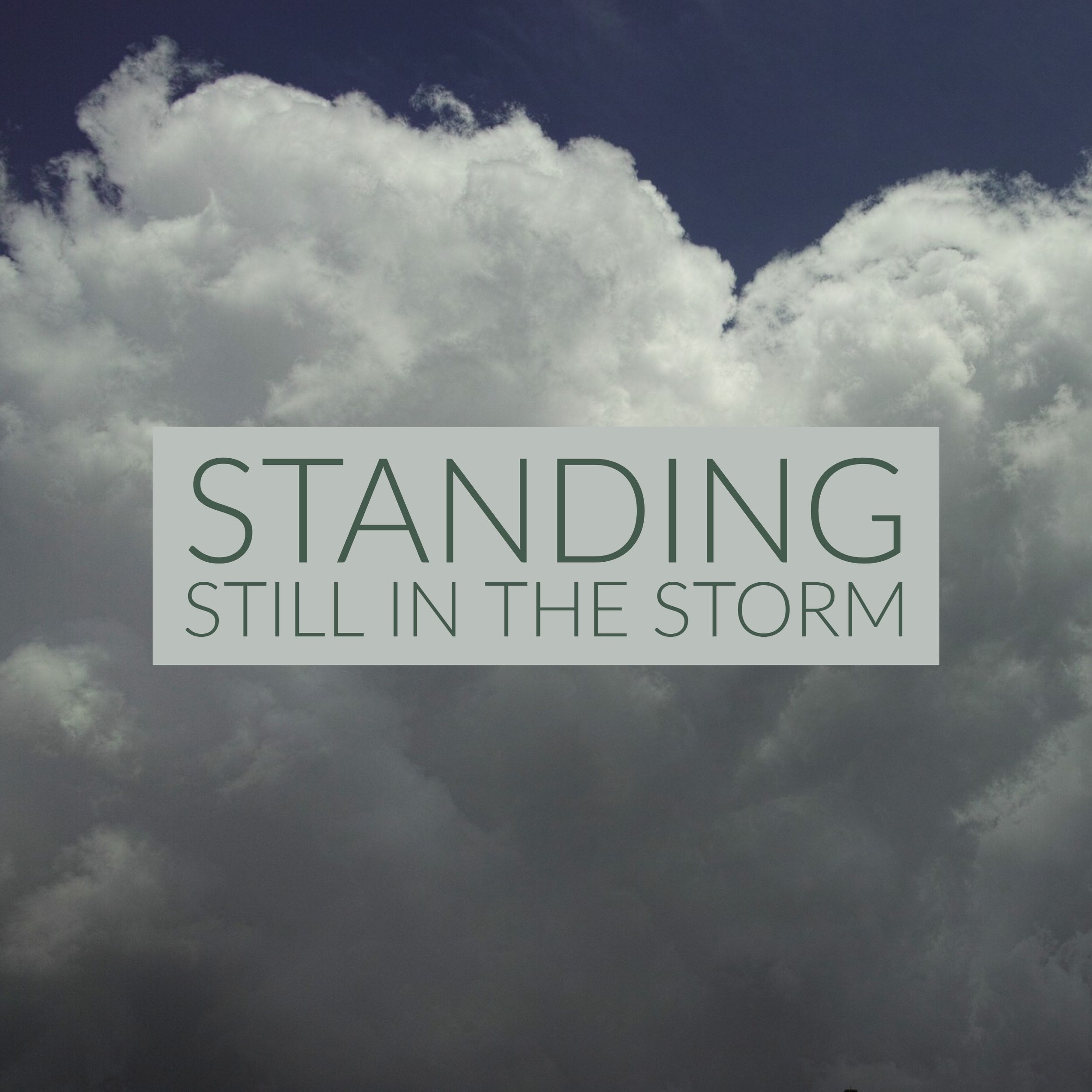 Standing Still in the Storm | Genesis Bible Fellowship Church