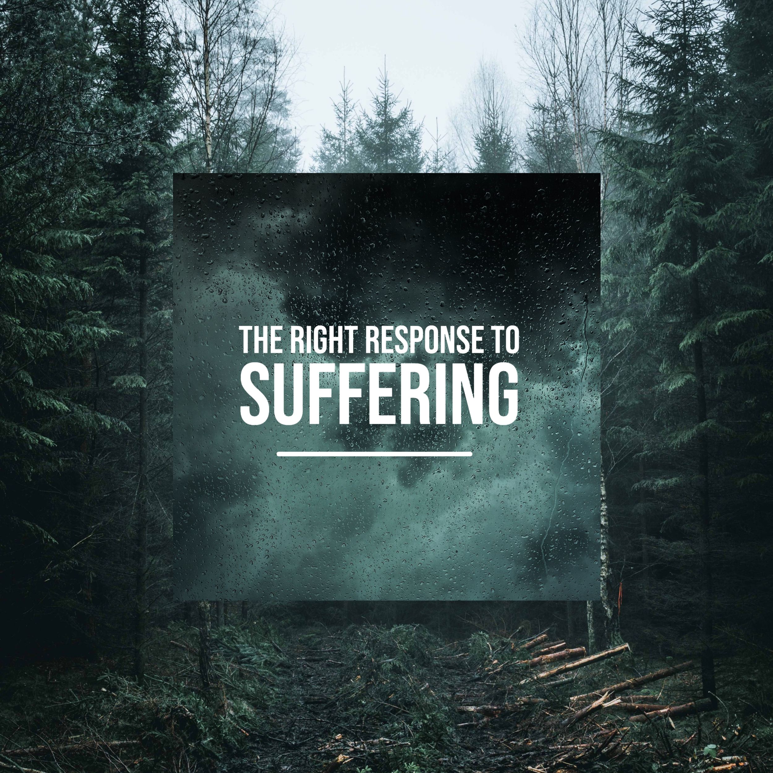 The Right Response to Suffering | Genesis Bible Fellowship Church