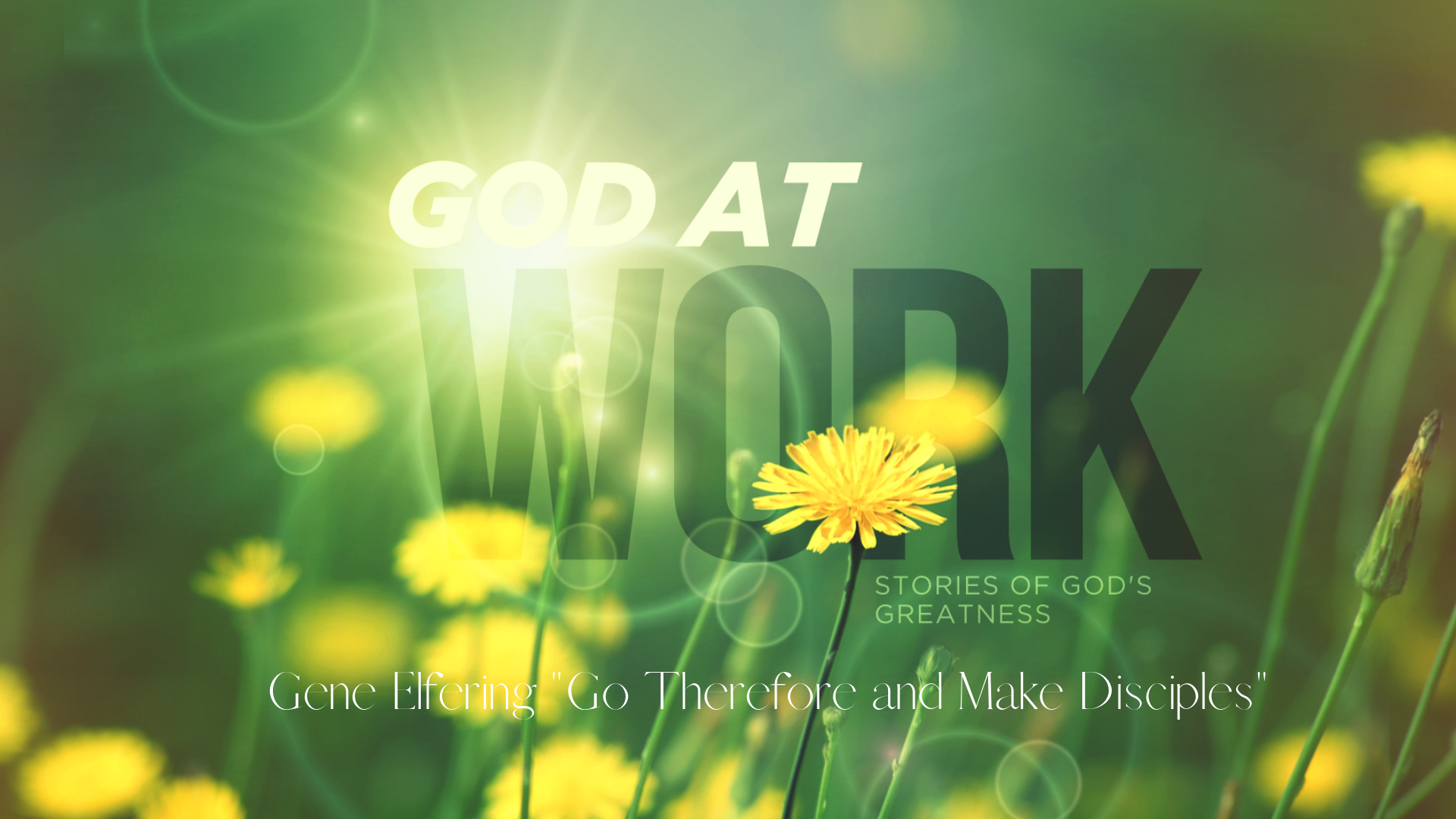God at Work "Go therefore and Make Disciples" by Gene Elfering ...