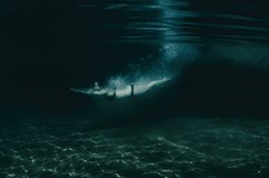 How the dive Reflex protects the brain and heart | DAN Southern Africa