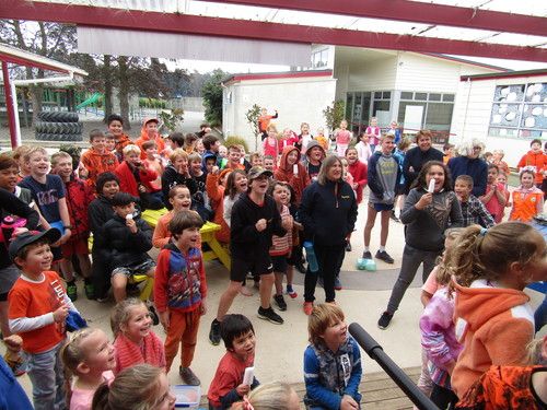 Papakaio School - Gallery