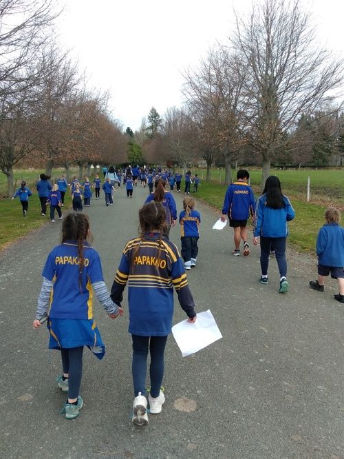 Papakaio School - Gallery