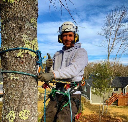 Petrella Tree Service, LLC - Wells, Maine