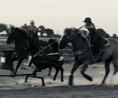 Stretch Roping Dummies