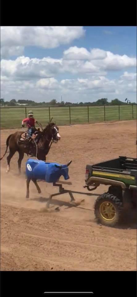 Stretch Roping Dummies