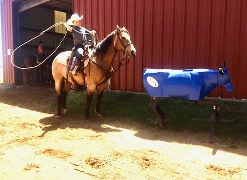 Stretch Roping Dummies