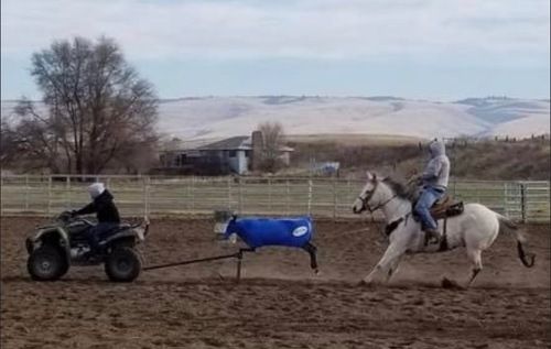Stretch Roping Dummies