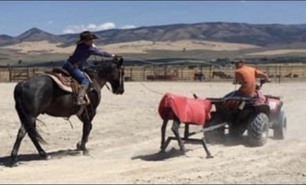 Stretch Roping Dummies