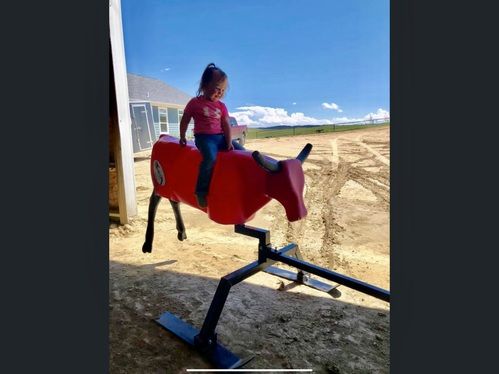 Stretch Roping Dummies